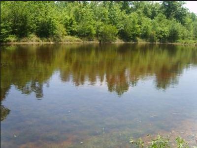 Lake Mike Conner Campground | Covington County - Mississippi